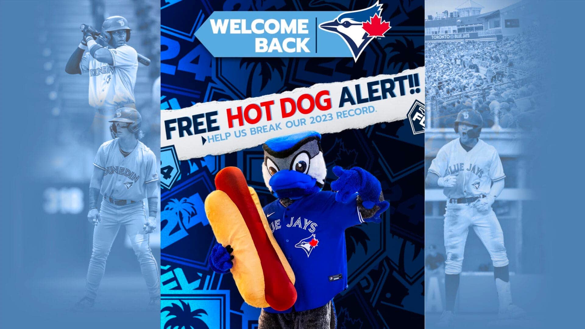 Welcome Back, Blue Jays! – Go Gulf States