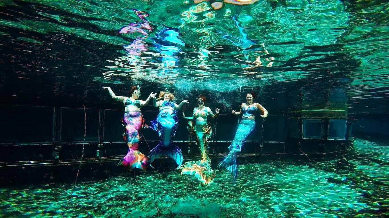 Sirens of the Deep Mermaid Camp at Weeki Wachee – Go Gulf States
