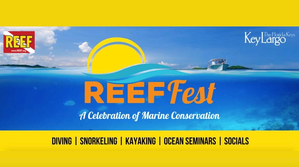 REEF Fest 2023: A Marine Conservation Celebration – Go Gulf States