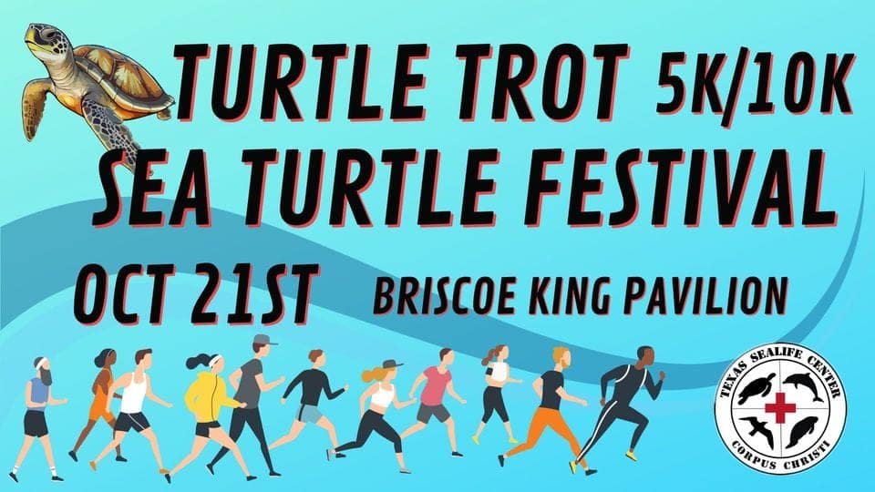 5K/10K Turtle Trot & Sea Turtle Festival – Go Gulf States